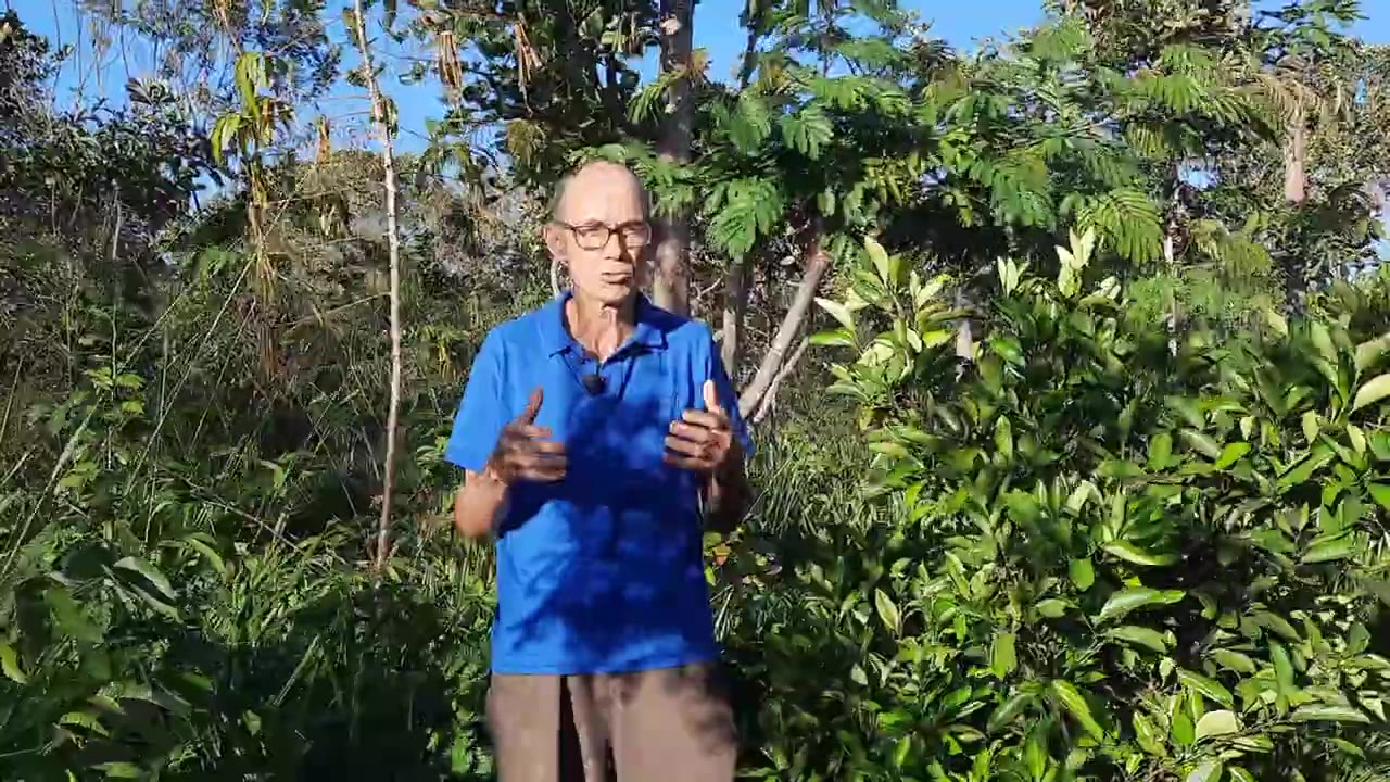 Forests4Farming – ICL TANK