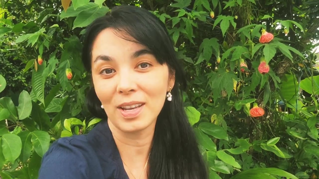 Parques Sementeiros da Mata Atlântica – (SPA) Seeds Production Areas ...